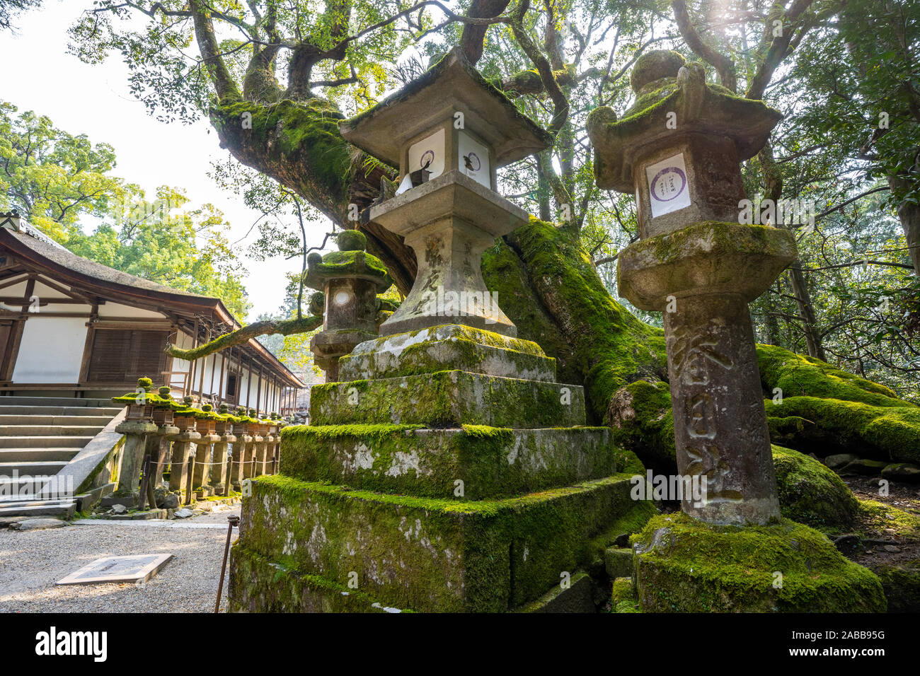 Lanterns toro hi-res stock photography and images - Alamy