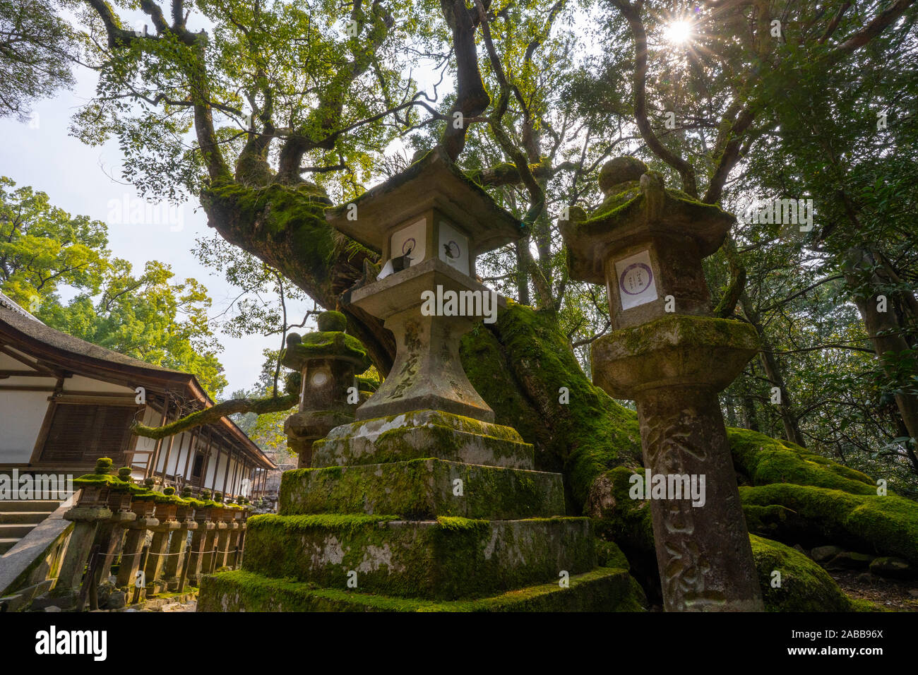 Japanese stone lanter hi-res stock photography and images - Alamy