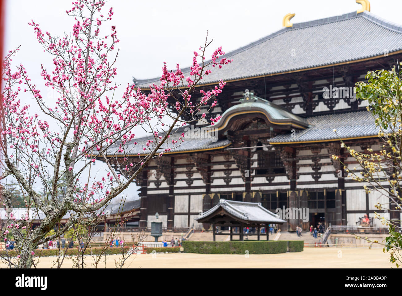 Tōdai-ji (Eastern Great Temple) is a Buddhist temple, once one of the ...