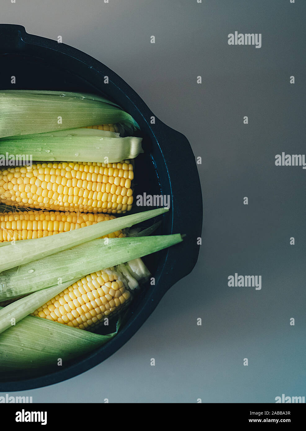 Cooked corn on the Cob. Golden colored boiled corn on the cob Stock ...