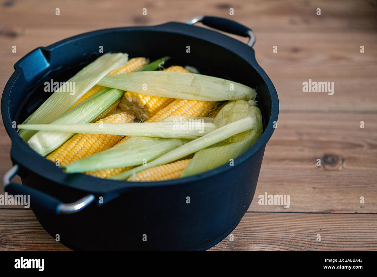 Cooked corn on the Cob. Golden colored boiled corn on the cob Stock ...
