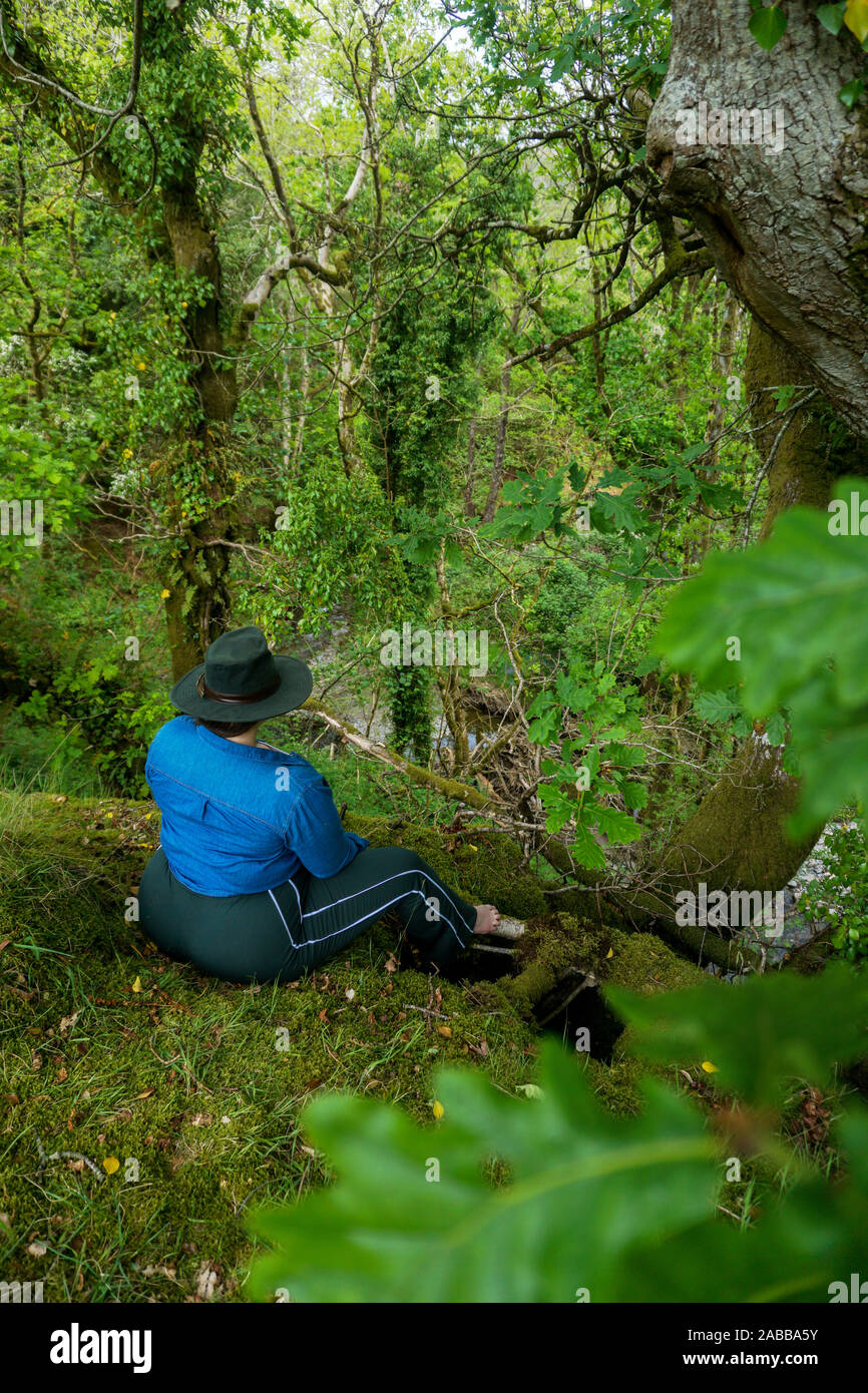 Woman sitting under oak tree hi-res stock photography and images - Alamy