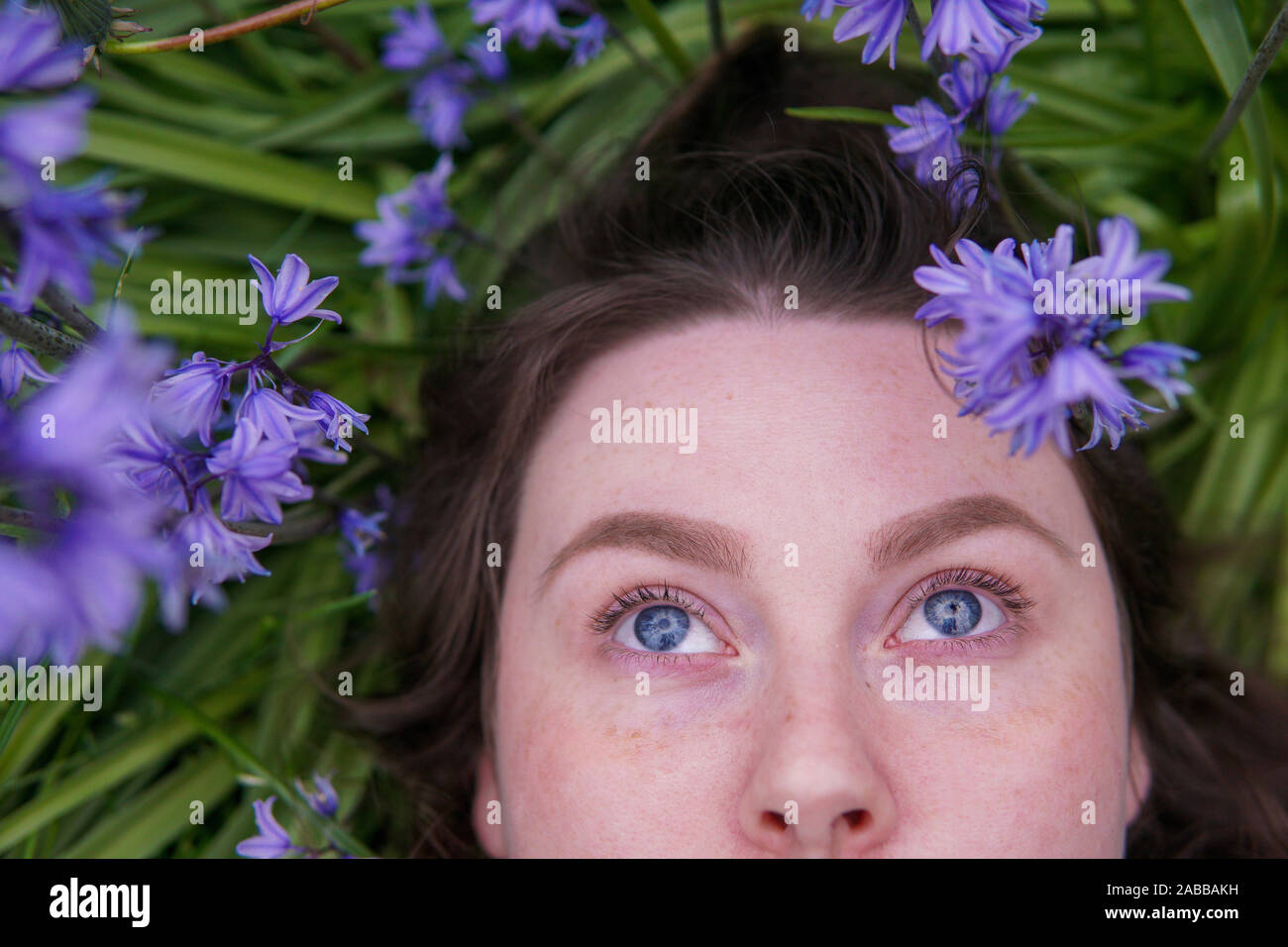 Woman with blue eyes lying amongst bluebells, England, UK Stock Photo ...