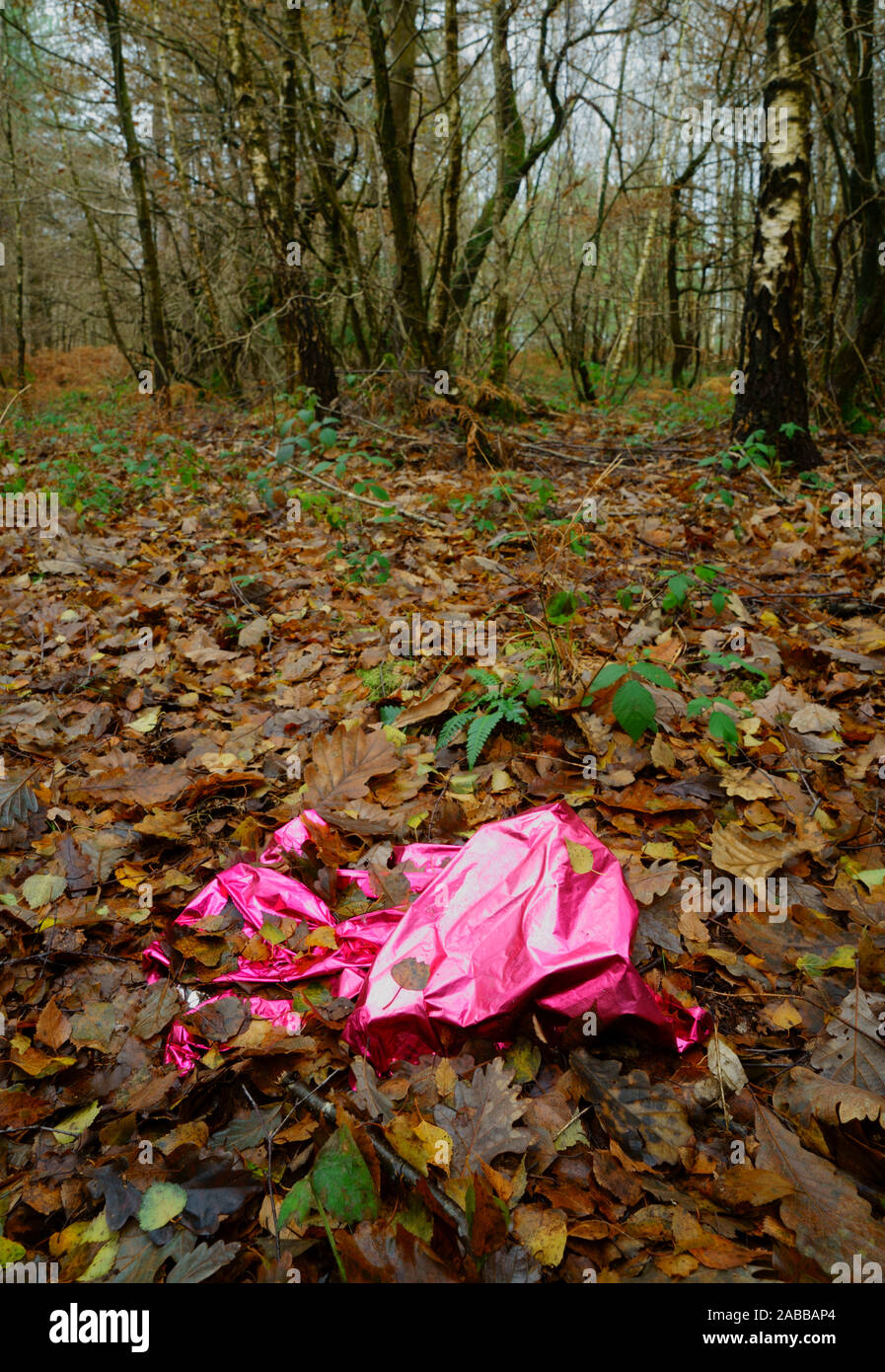 A deflated helium balloon littering a woodland enviroment Stock Photo ...
