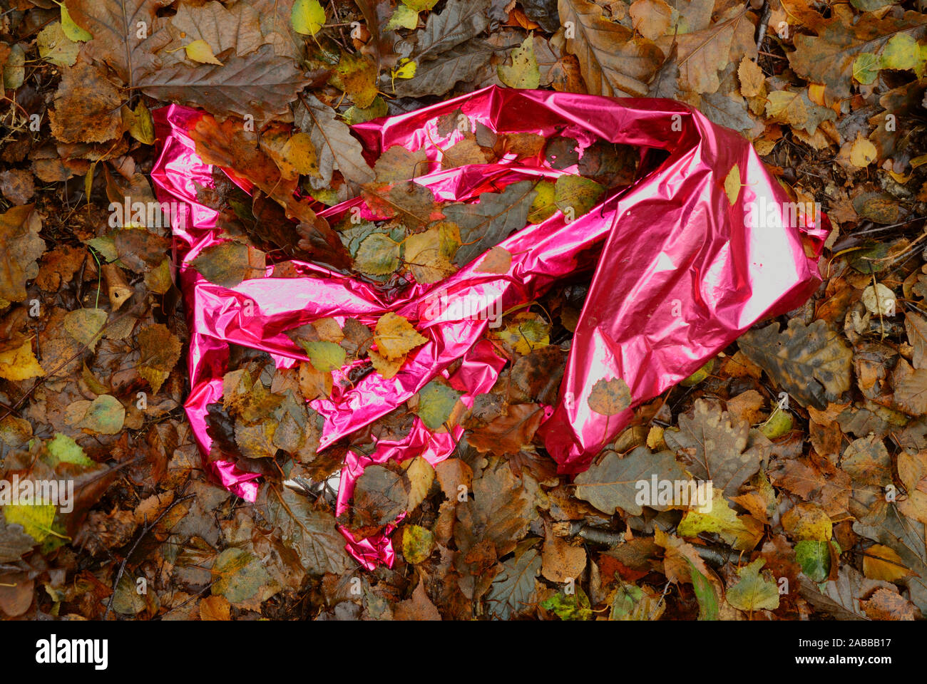 Debris of a single use helium balloon littering woodland Stock Photo ...