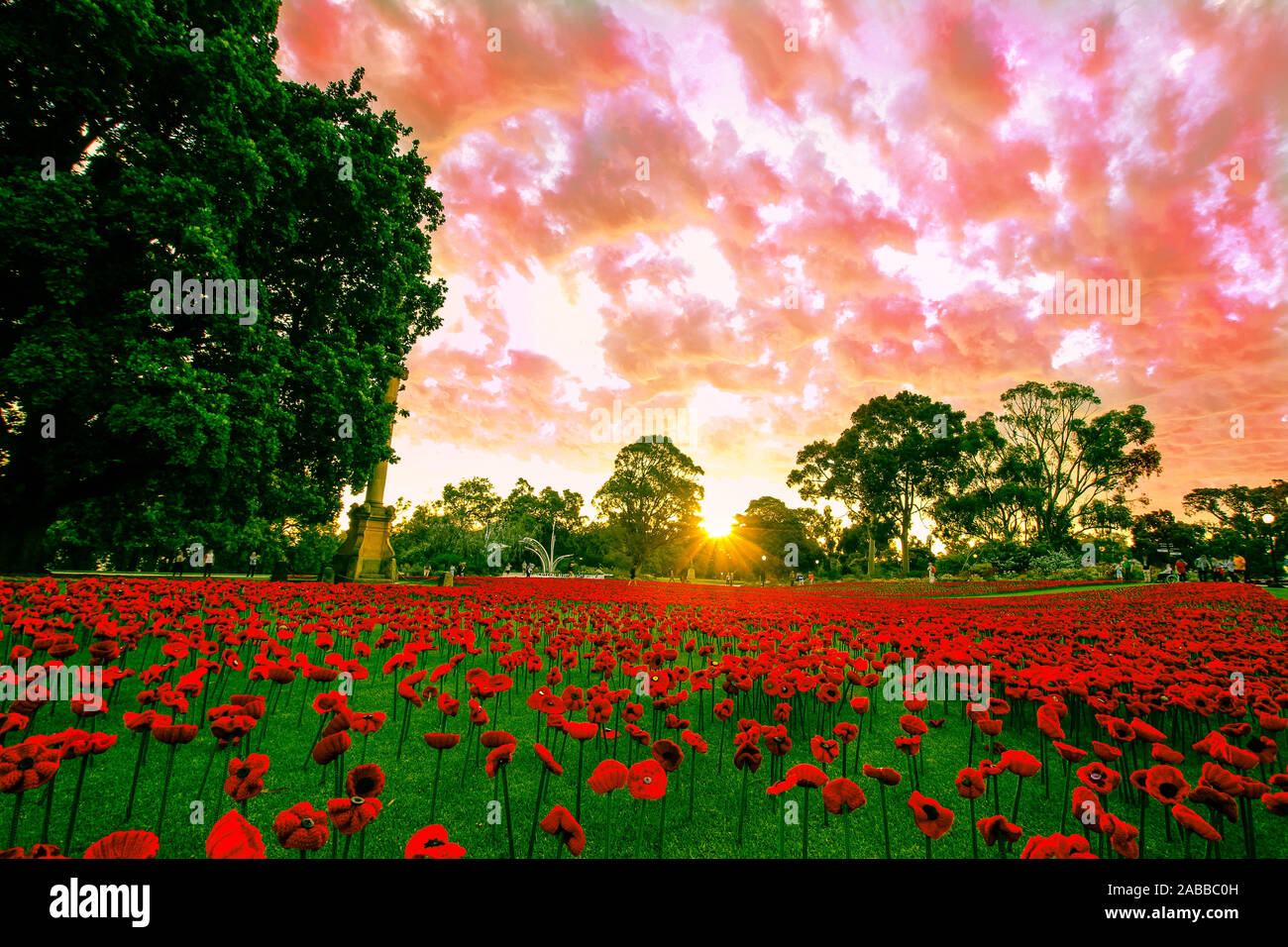 Botanic garden perth australia hi-res stock photography and images - Alamy