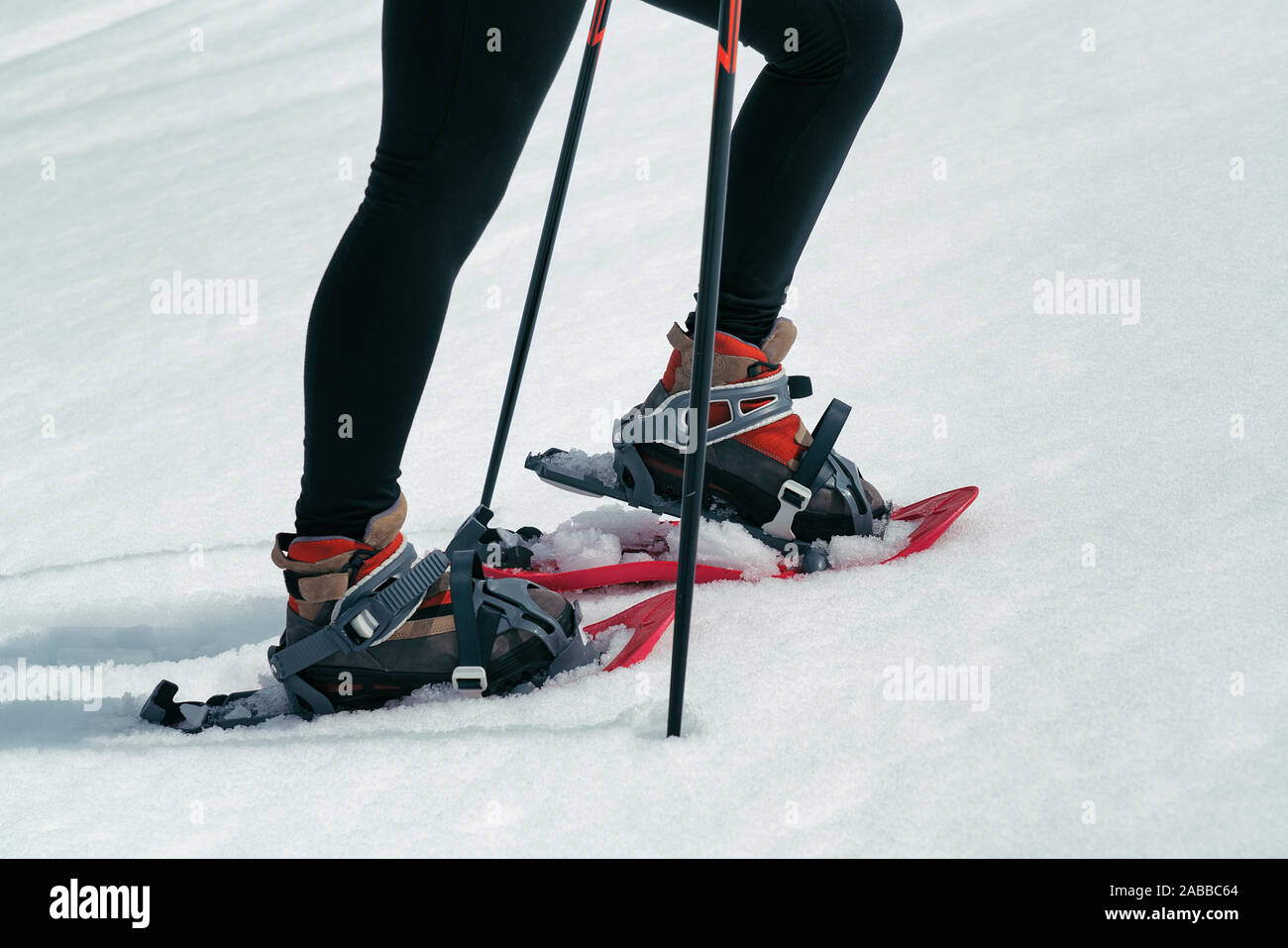 Walking with snow rackets Stock Photo - Alamy