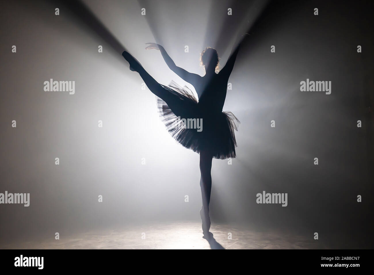 Professional ballerina dancing ballet in spotlights smoke on big stage ...