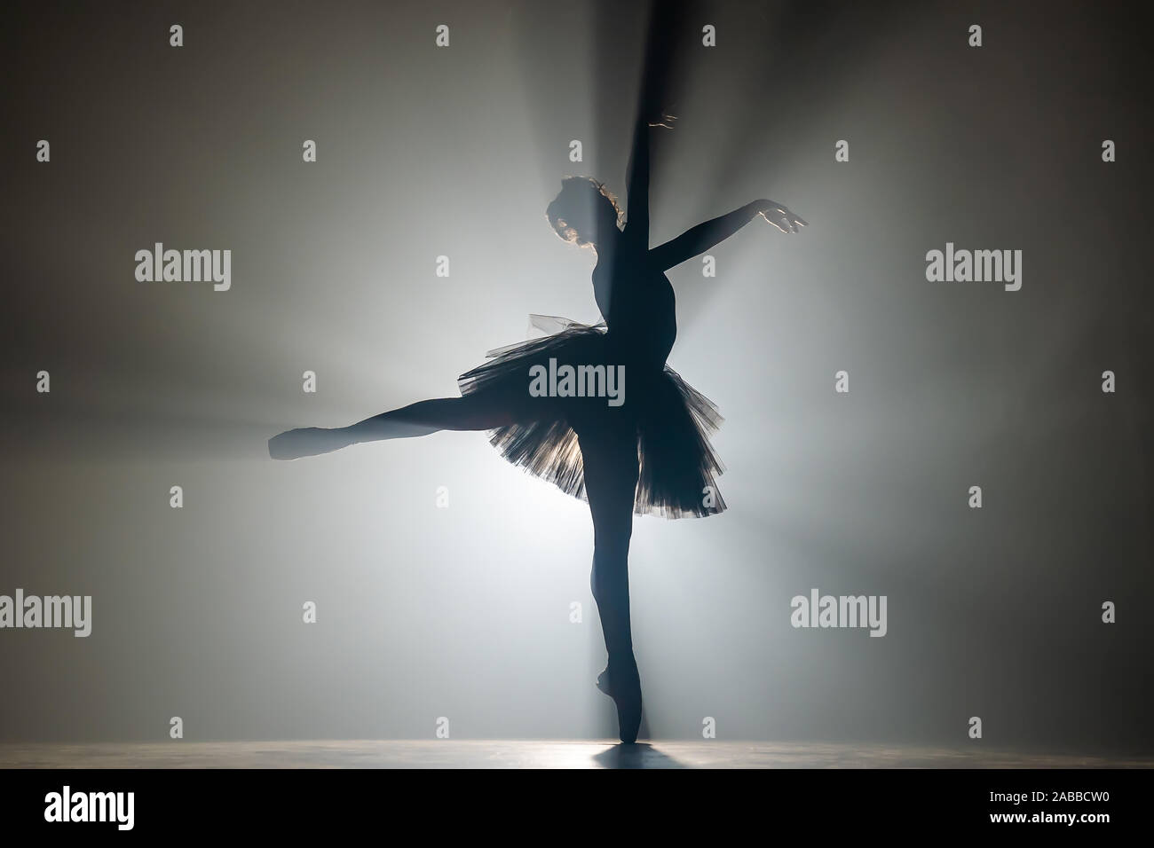 Professional ballerina dancing ballet in spotlights smoke on big stage ...