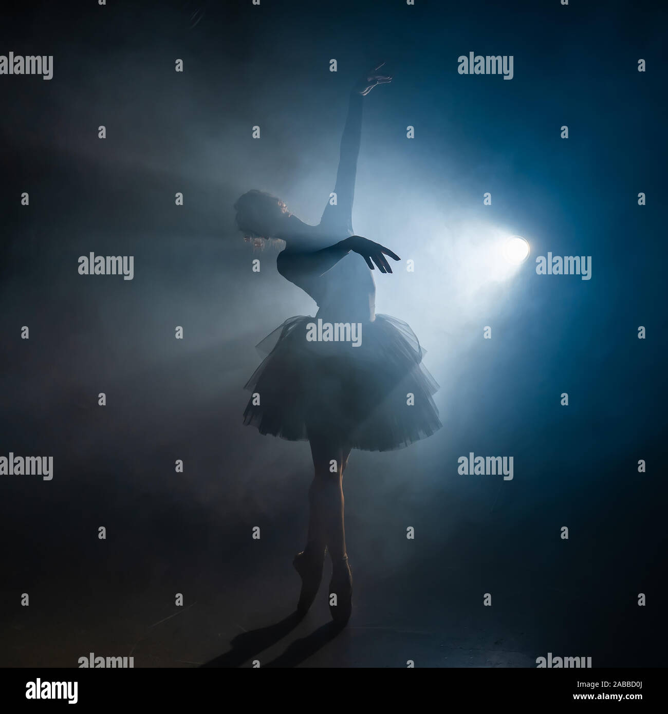 Young ballerina on smoke stage dancing modern ballet. Performs smooth ...