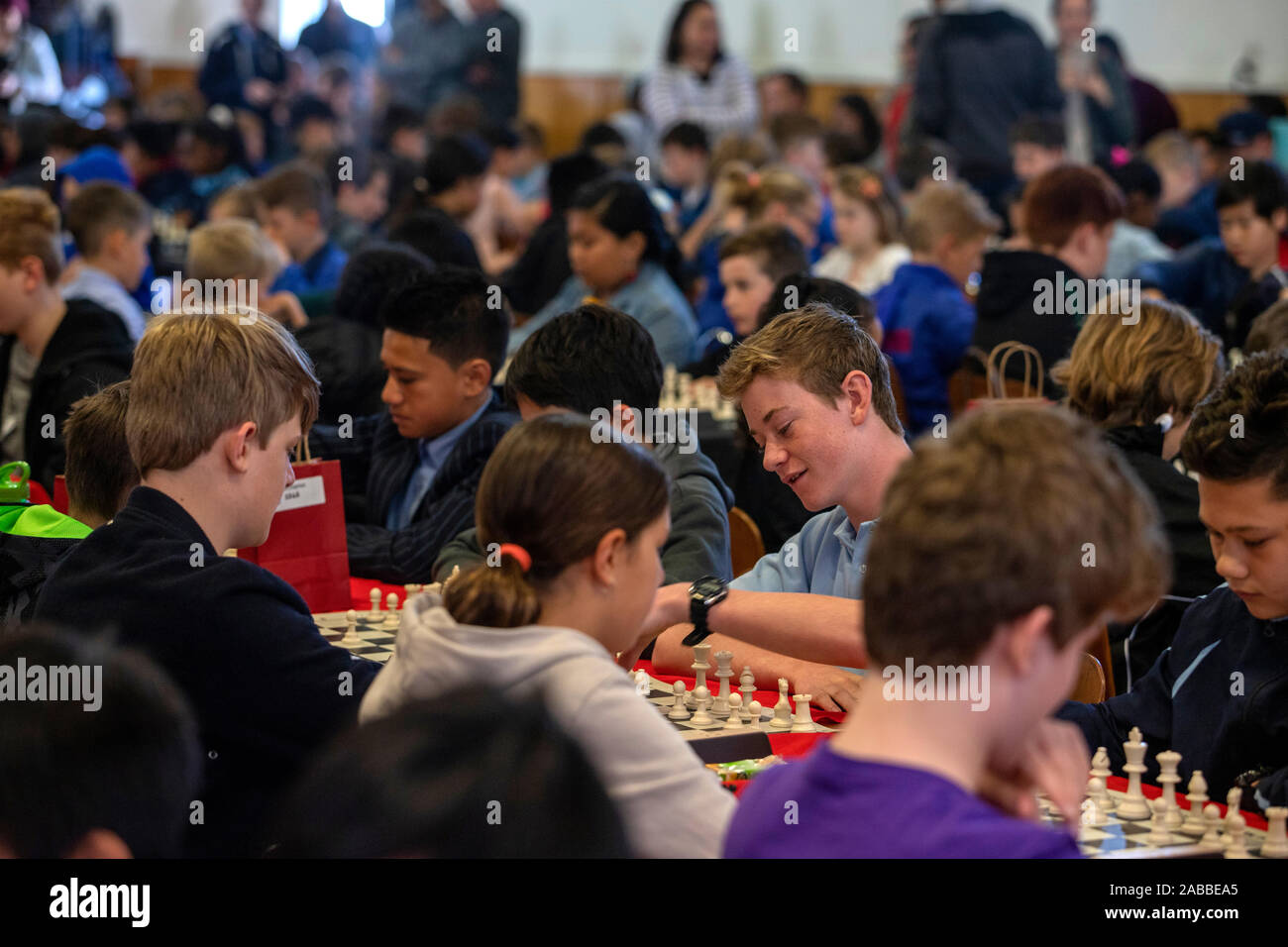 Kids chess competition hi-res stock photography and images - Alamy