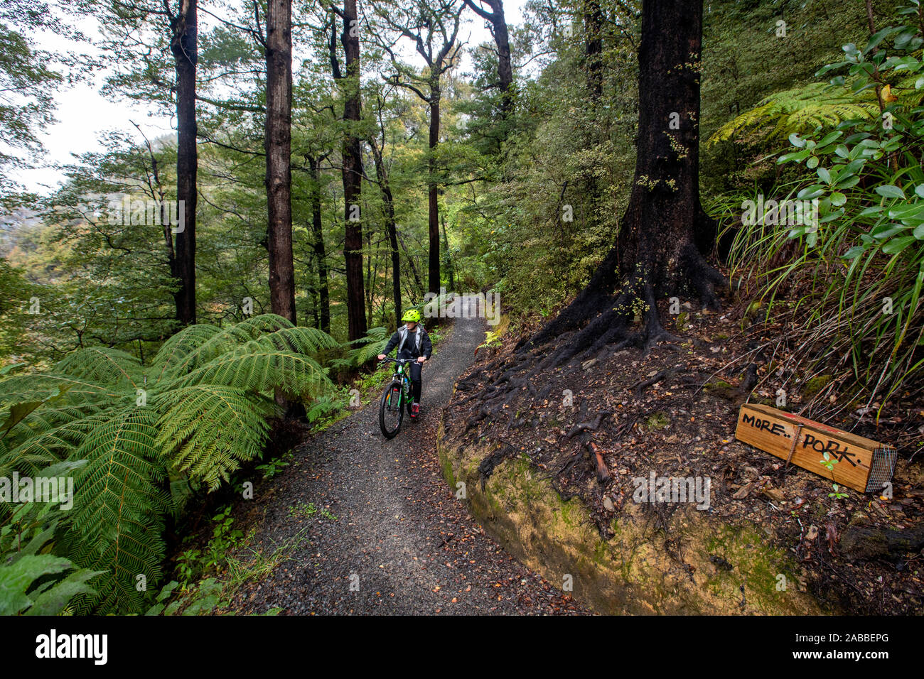 Link Pathway, Marlborough, New Zealand Stock Photo - Alamy
