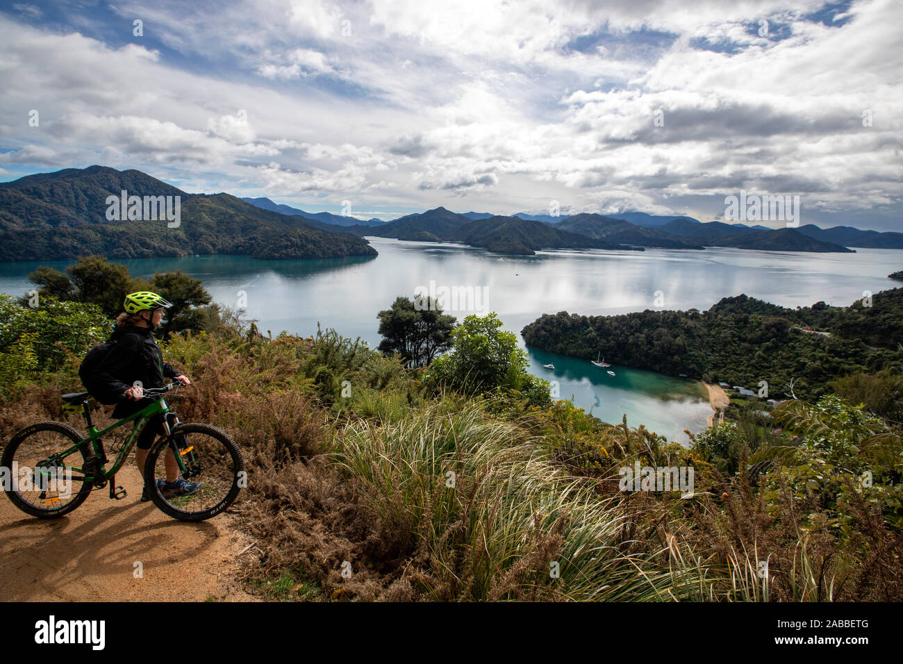 Link Pathway, Marlborough, New Zealand Stock Photo - Alamy