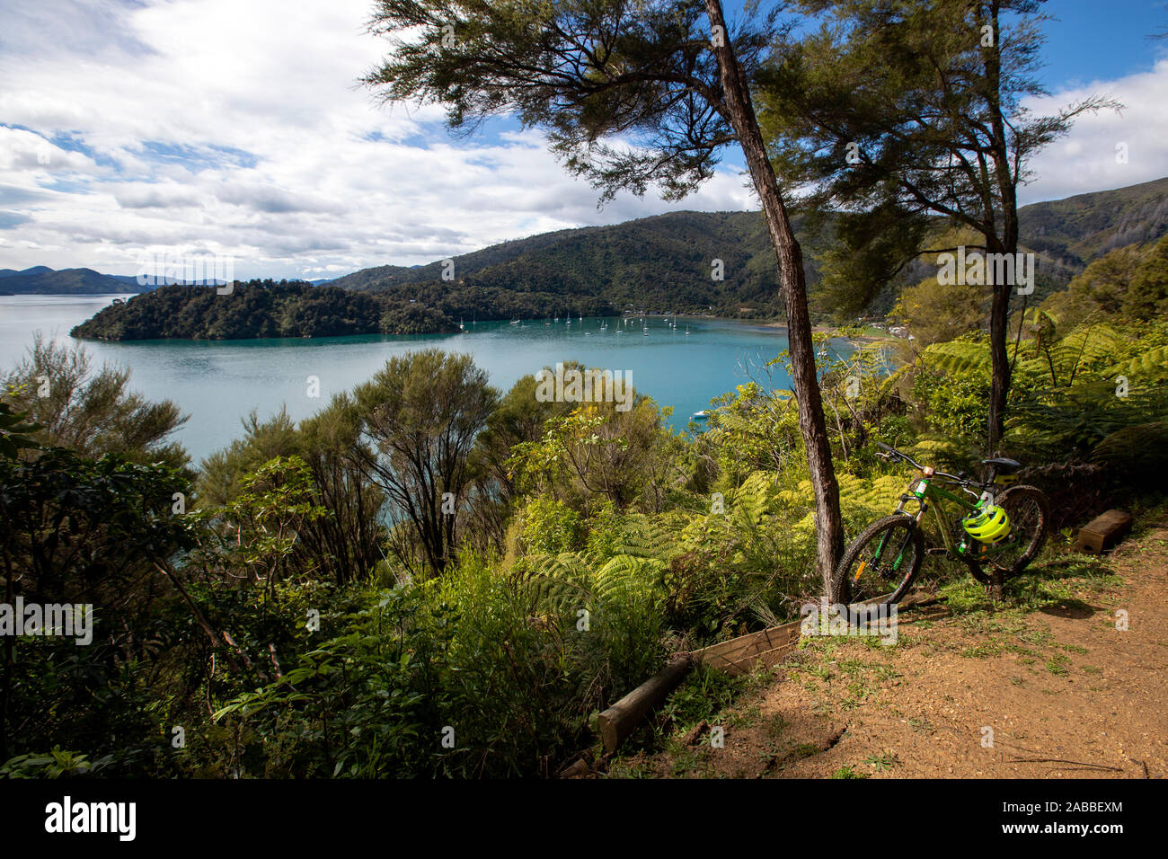 Link Pathway, Marlborough, New Zealand Stock Photo - Alamy