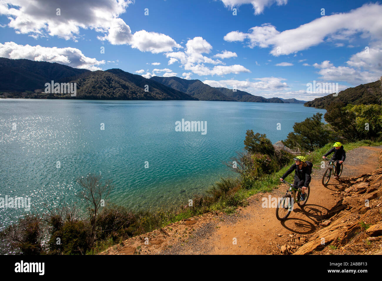 Link Pathway, Marlborough, New Zealand Stock Photo - Alamy