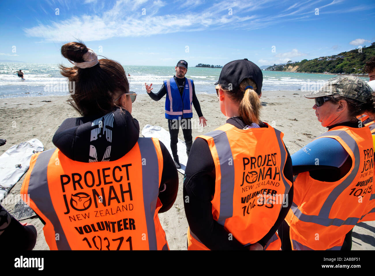 Project Jonah training course, Nelson, New Zealand Stock Photo - Alamy