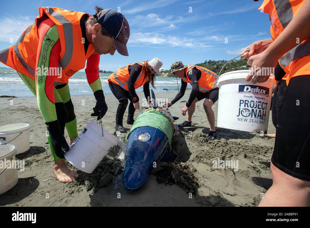 Project Jonah training course, Nelson, New Zealand Stock Photo - Alamy
