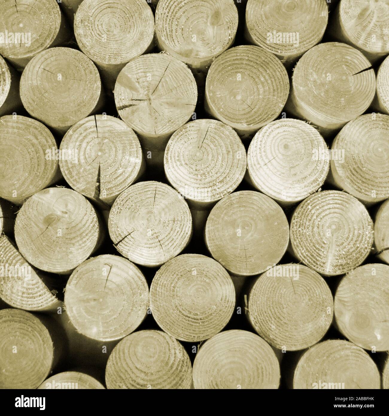 Timber circles hi-res stock photography and images - Alamy