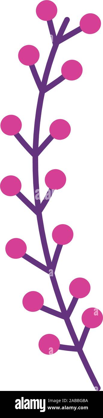 branch stem berry botanical icon on white background vector ...
