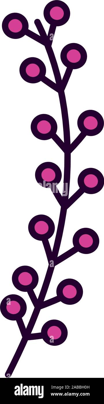 branch stem berry botanical icon on white background vector ...