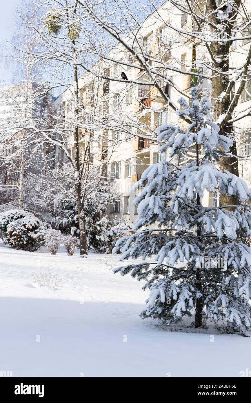 Flats snow tree outdoors winter block hi-res stock photography and ...