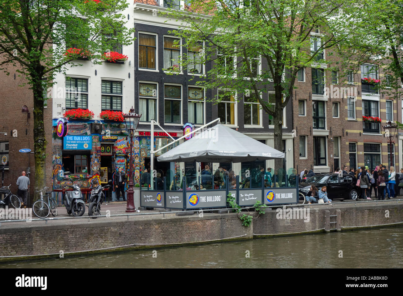 The Bulldog coffee shop Amsterdam, Netherlands Stock Photo - Alamy