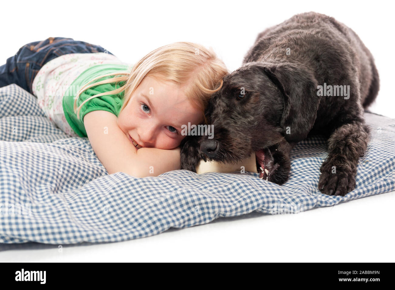 Little girl cuddling a labradoodle chewing on a bone. Isolated on white ...