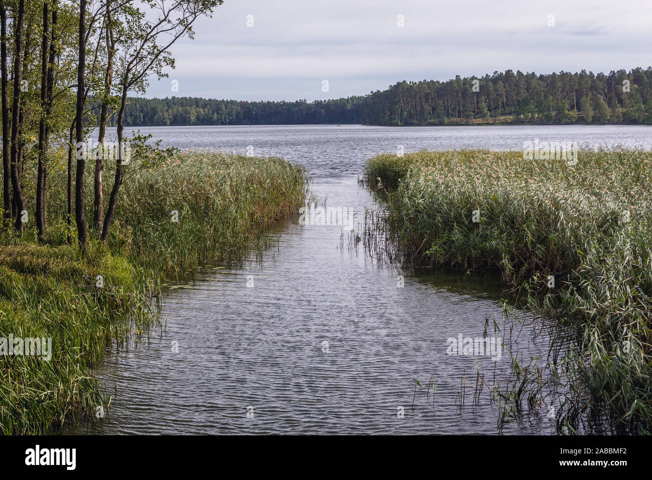 Canal between Debno Lake (on photo) and Wielkie Parteczyny Lake in ...