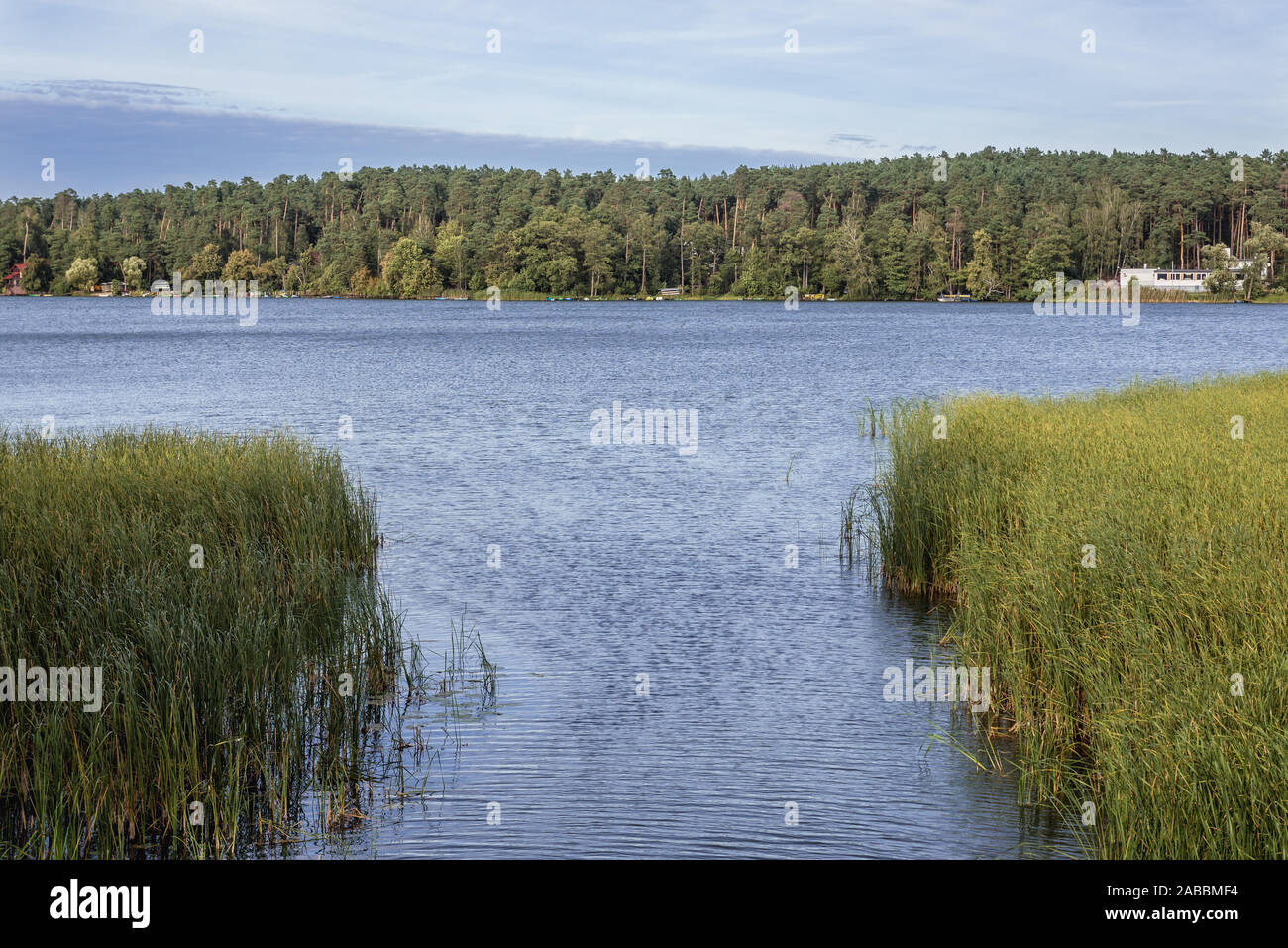 Canal between Wielkie Parteczyny Lake (on photo) and Debno Lake in ...