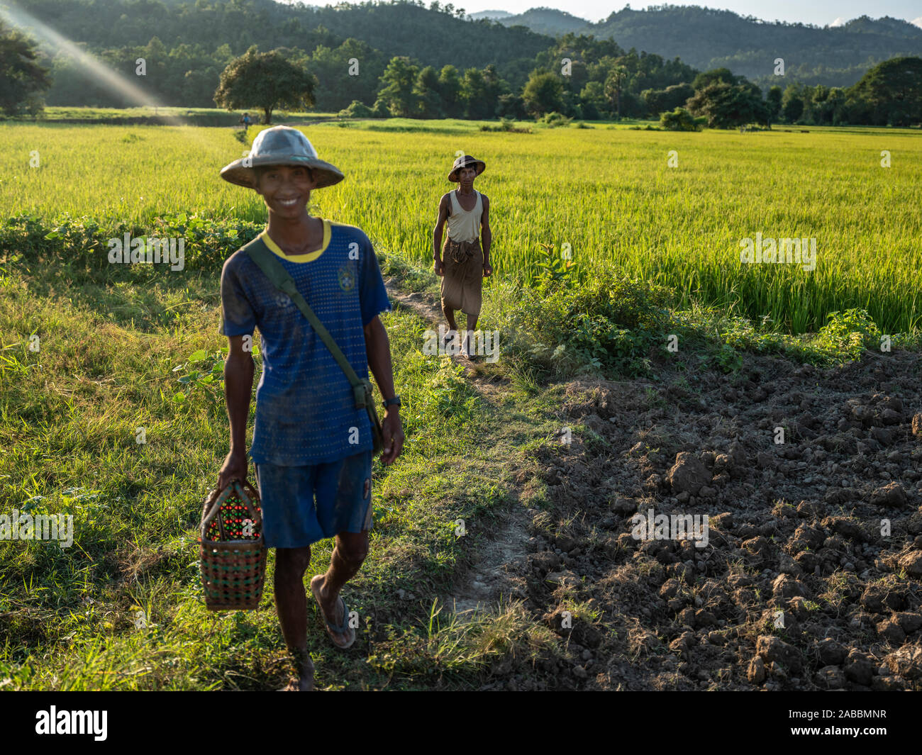 Two Burmese farmers in conical Asian rice hats return to the village ...