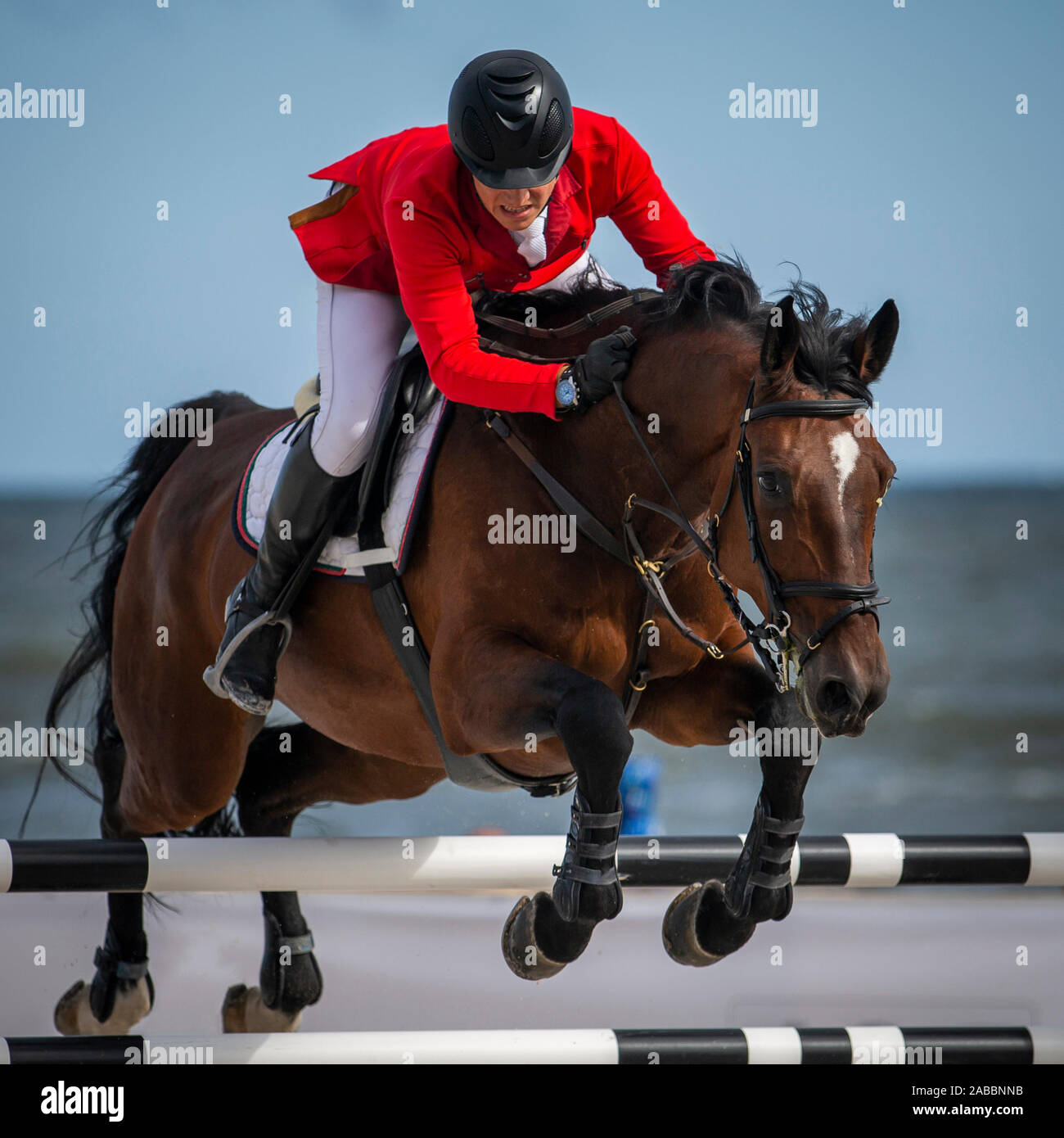 Equestrian show jumping hi-res stock photography and images - Alamy