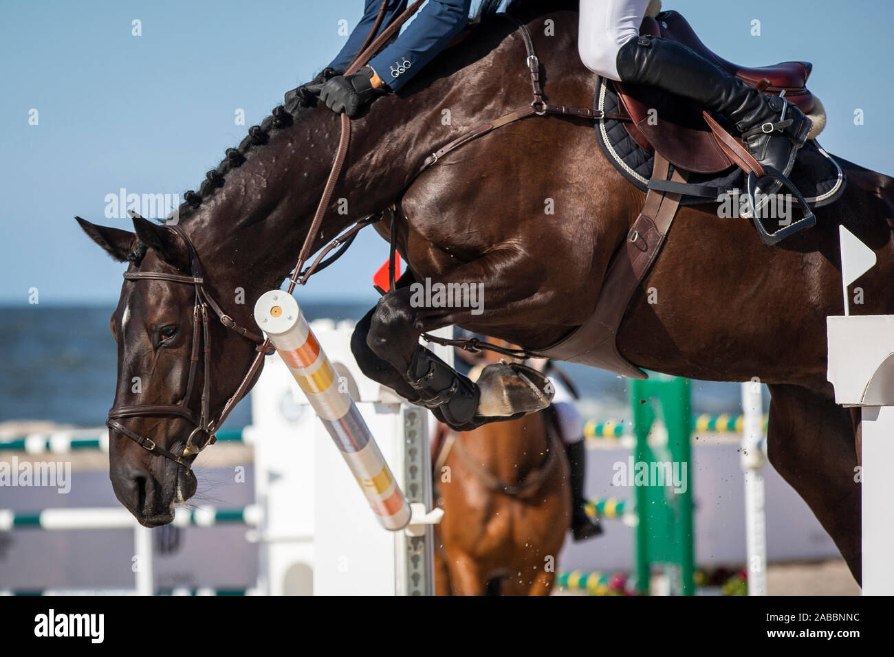 Equestrian show jumping hi-res stock photography and images - Alamy