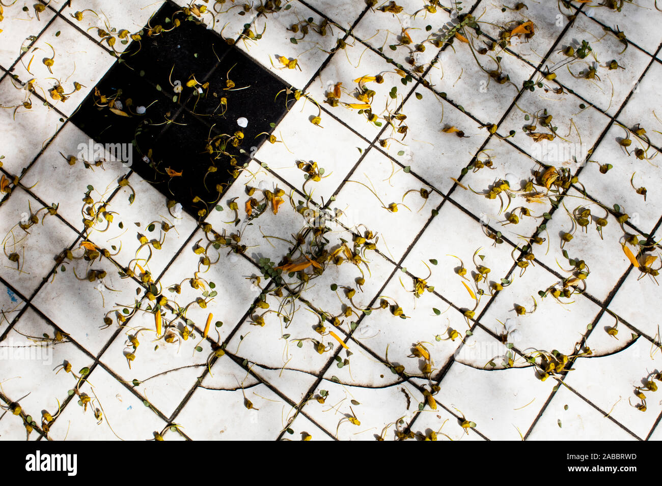 Redcliffe Gardens High Resolution Stock Photography and Images - Alamy