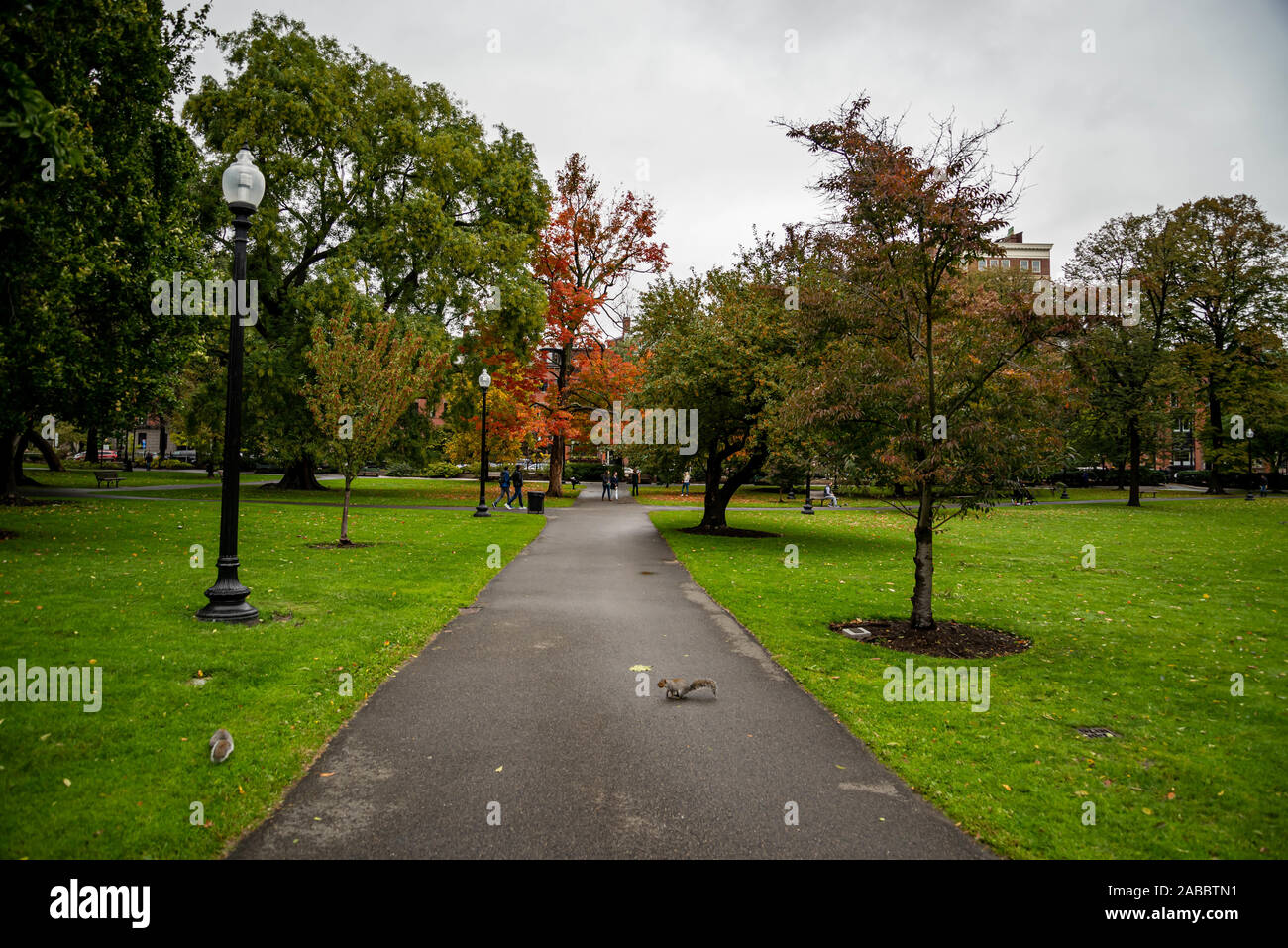 Boston Common. Boston Common is the oldest city park in the United ...