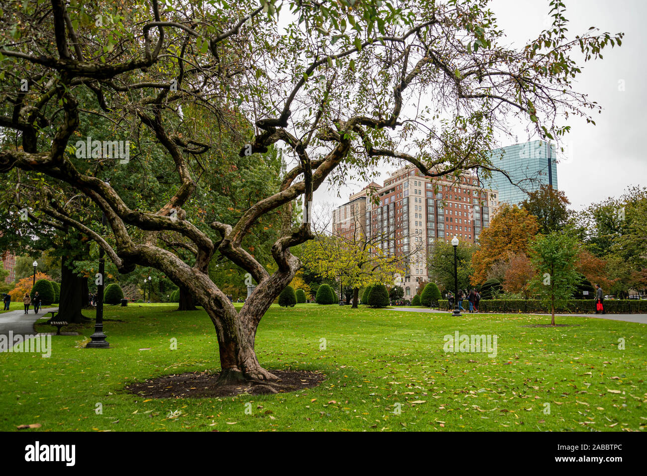 Boston Common. Boston Common is the oldest city park in the United ...