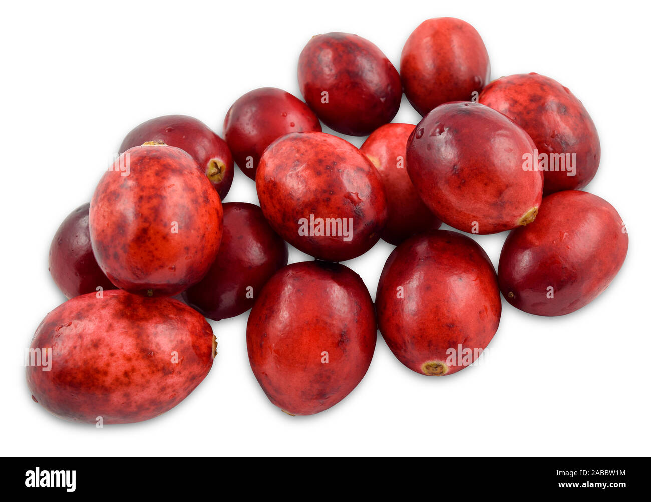 A group of festive and bright red cranberries isolated on a white ...