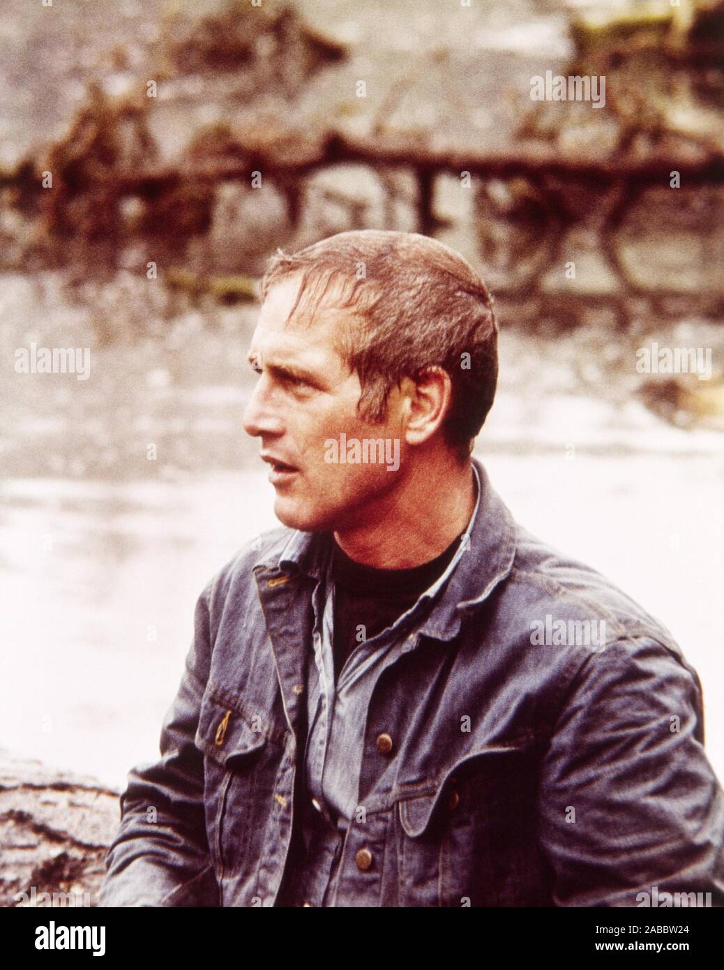 SOMETIMES A GREAT NOTION, Paul Newman, 1971 Stock Photo - Alamy