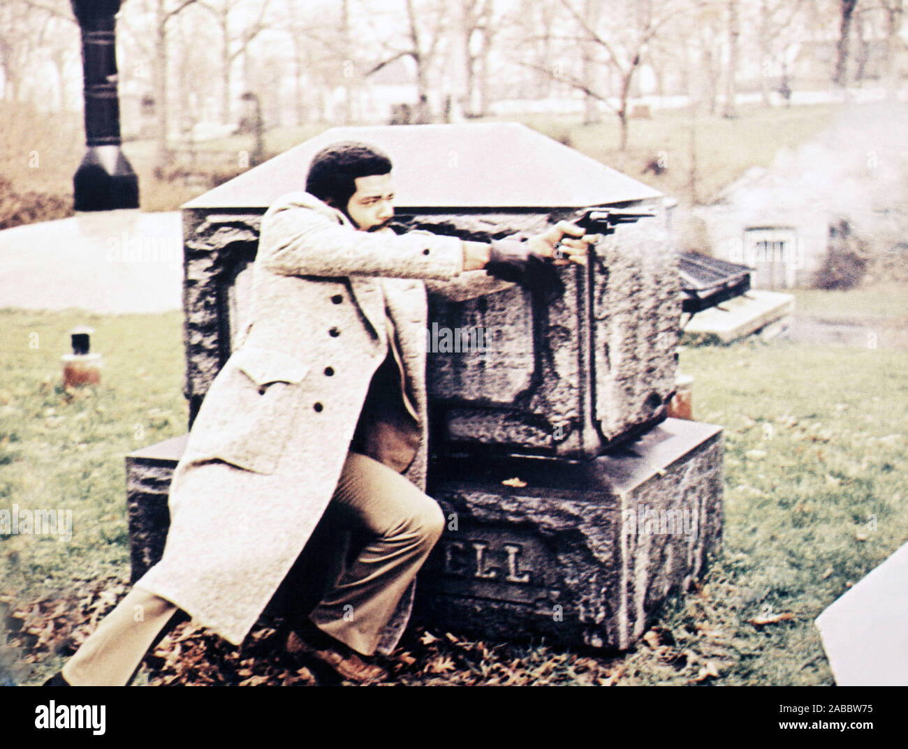 DETROIT 9000, (aka POLICE CALL 9000), Hari Rhodes, 1973 Stock Photo - Alamy