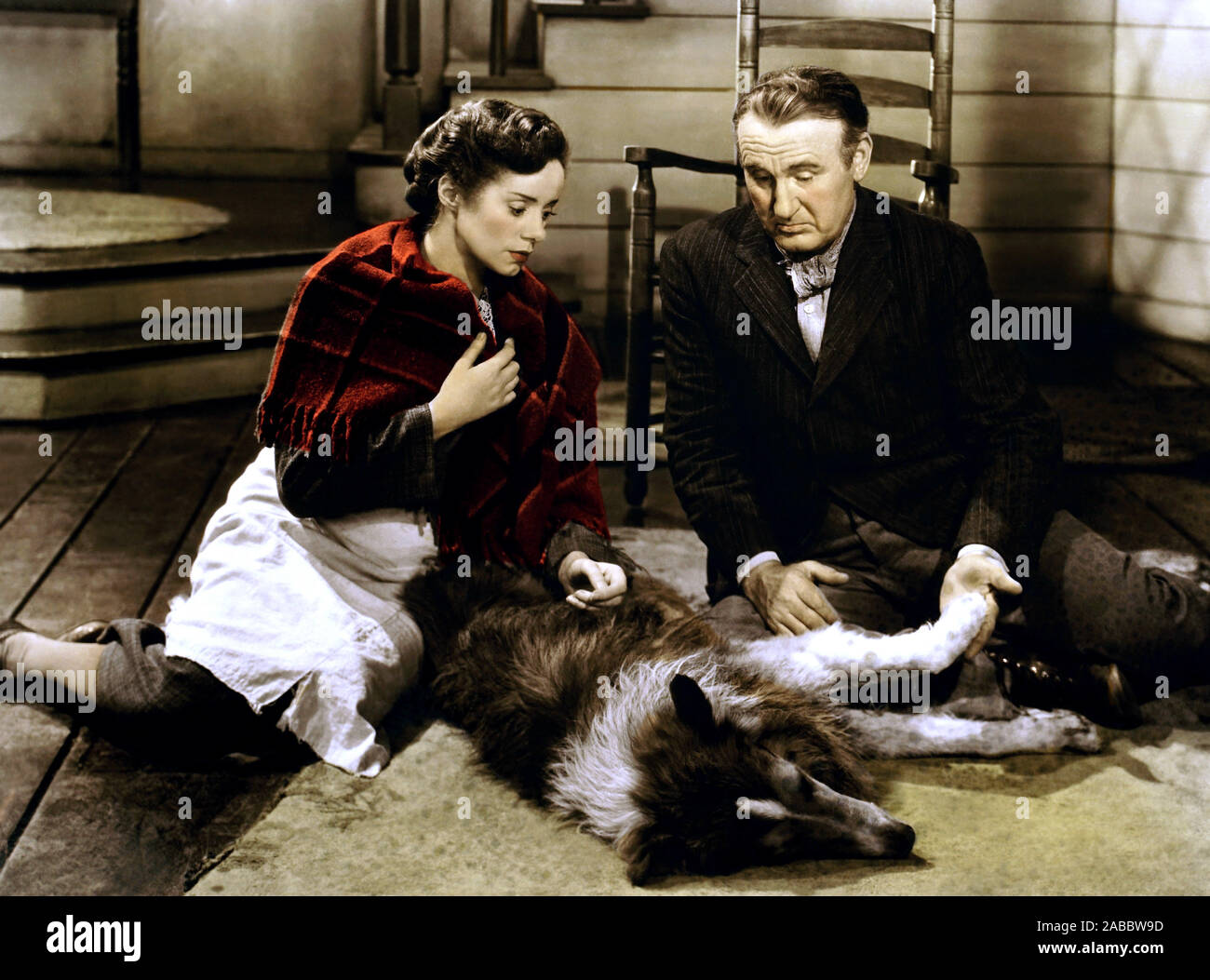 LASSIE COME HOME, from left: Elsa Lanchester, Lassie, donald Crisp ...