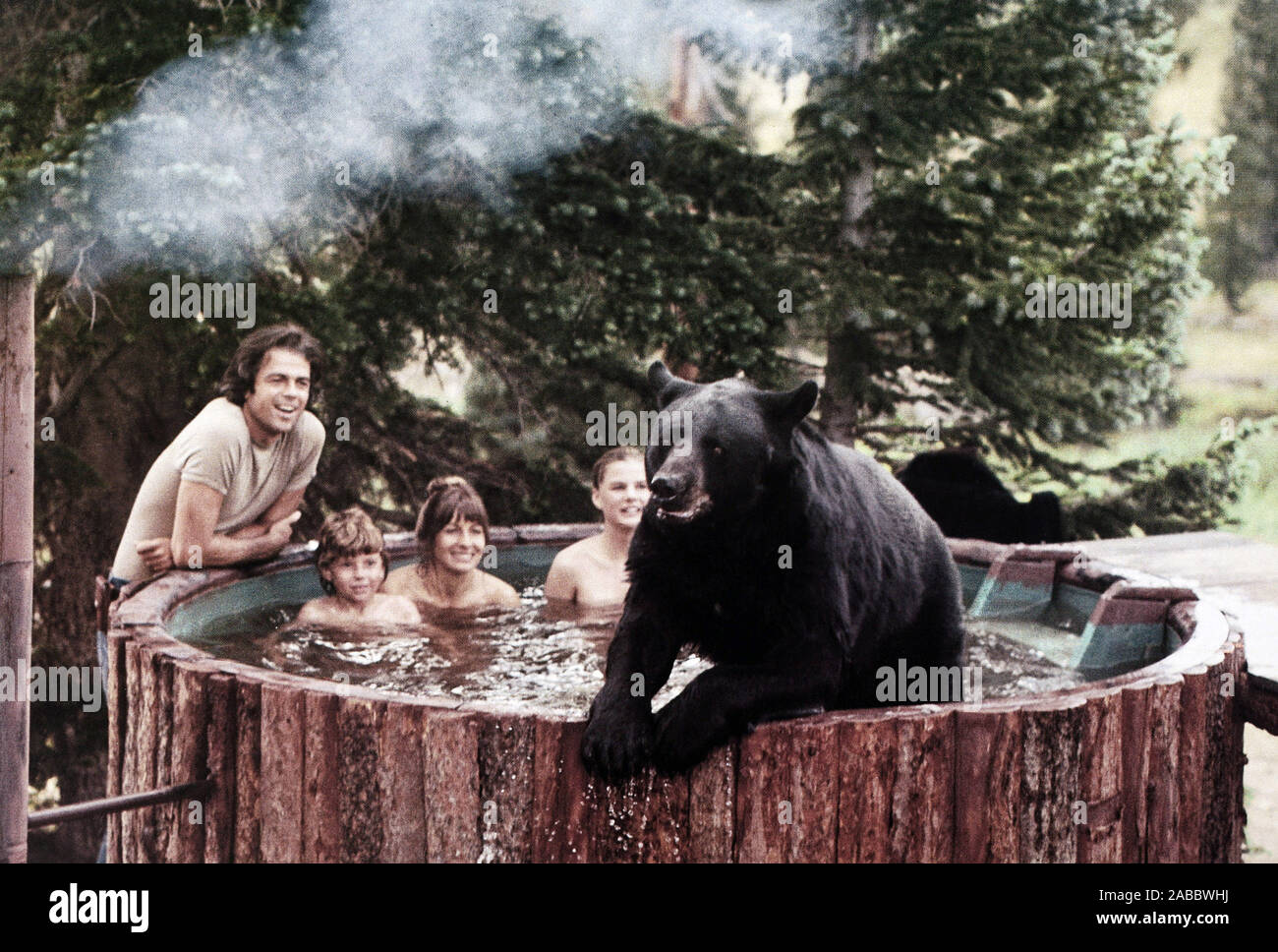 ADVENTURES OF THE WILDERNESS FAMILY 3, (aka MOUNTAIN FAMILY ROBINSON ...