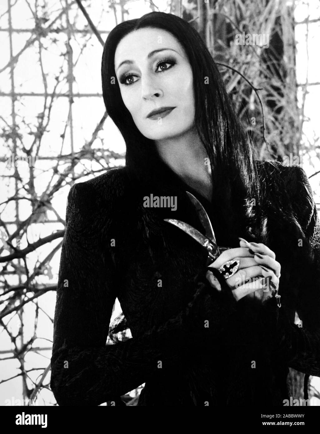 Anjelica Huston As Morticia The Addams Family 1991 Addams