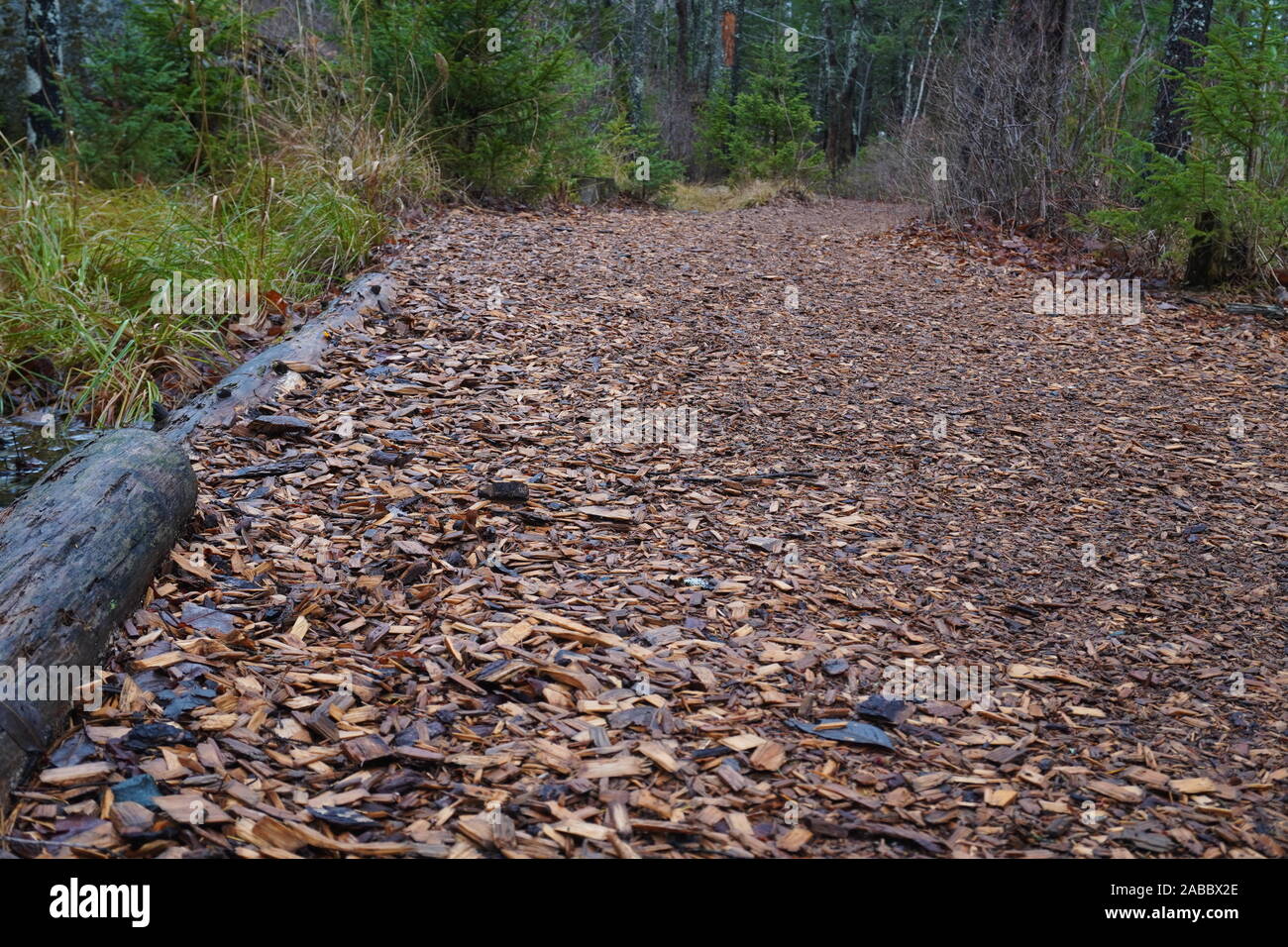 Walk and wood chip hi-res stock photography and images - Alamy