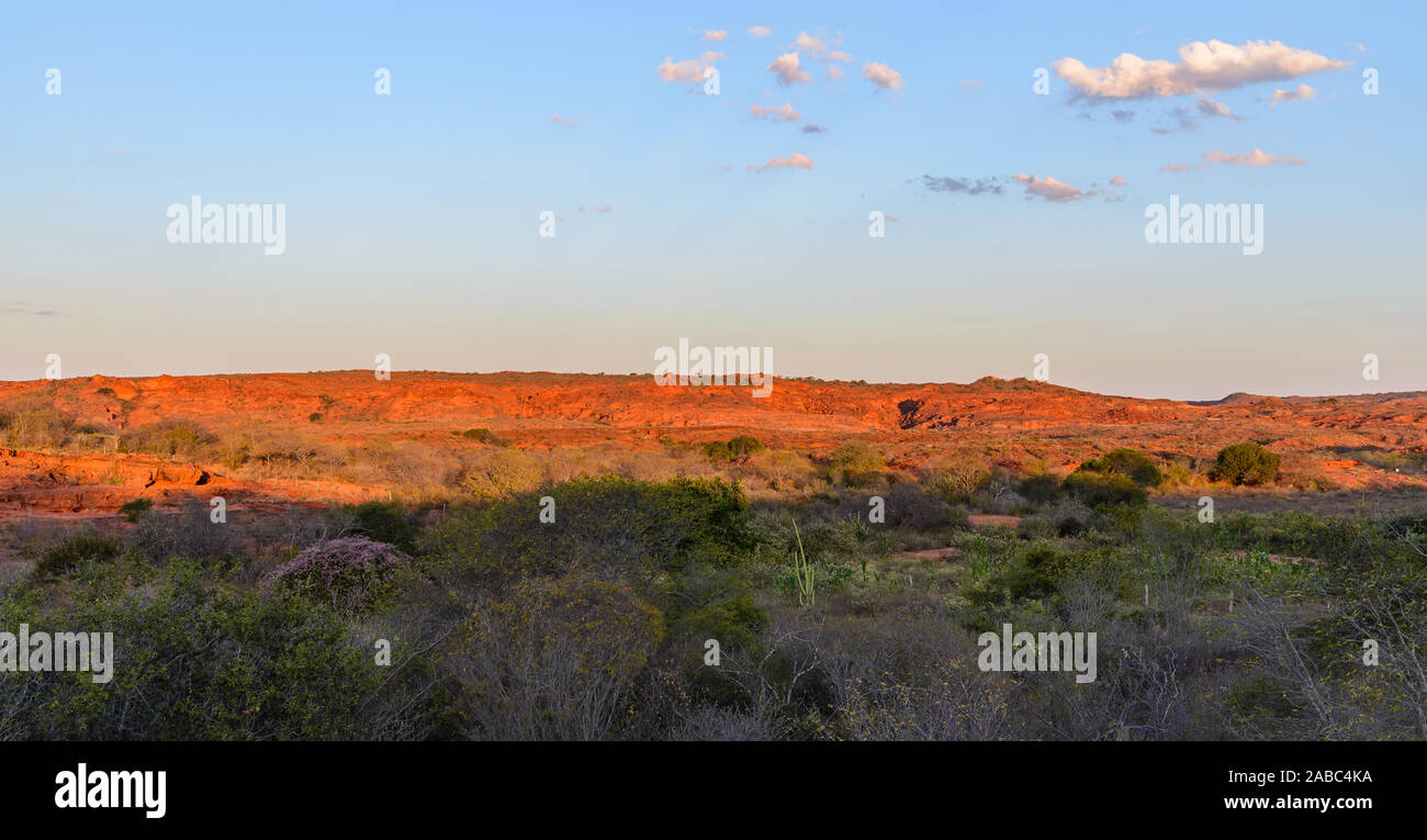 Caatinga brazil hi-res stock photography and images - Alamy