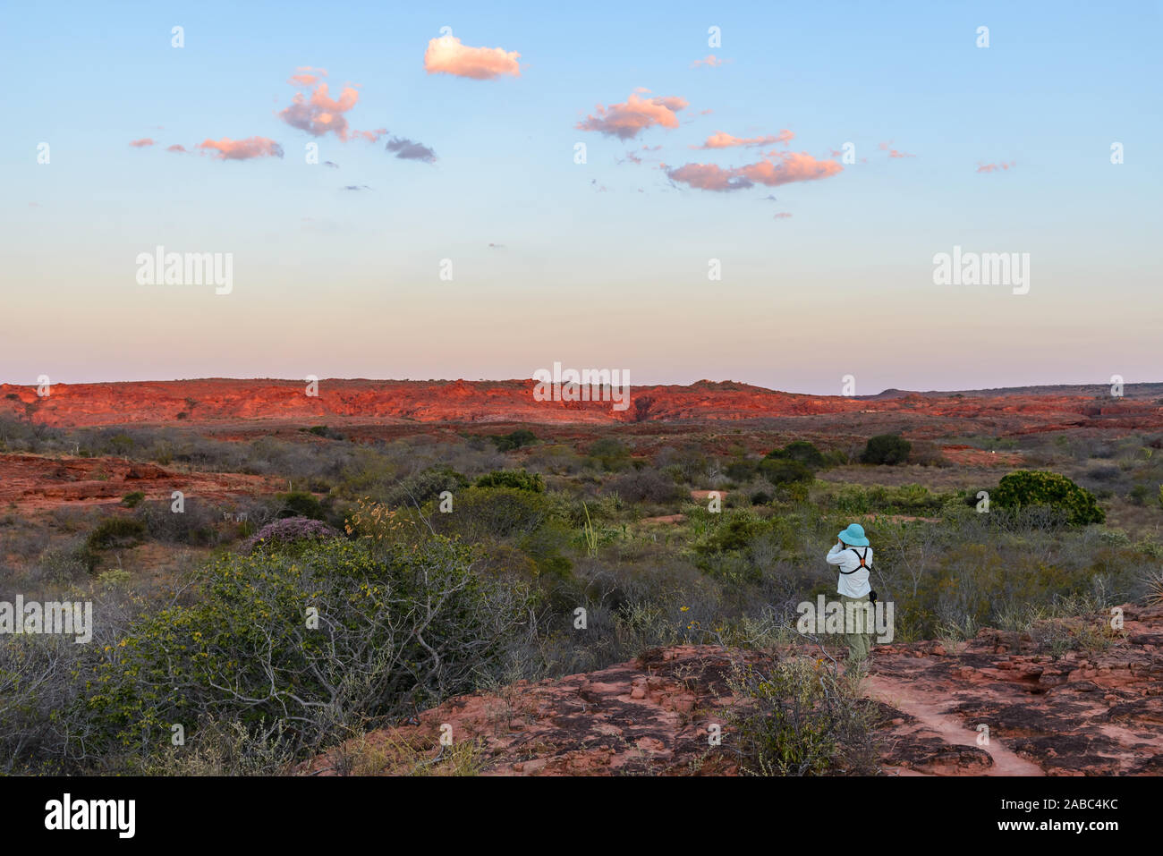 Caatinga brazil hi-res stock photography and images - Alamy