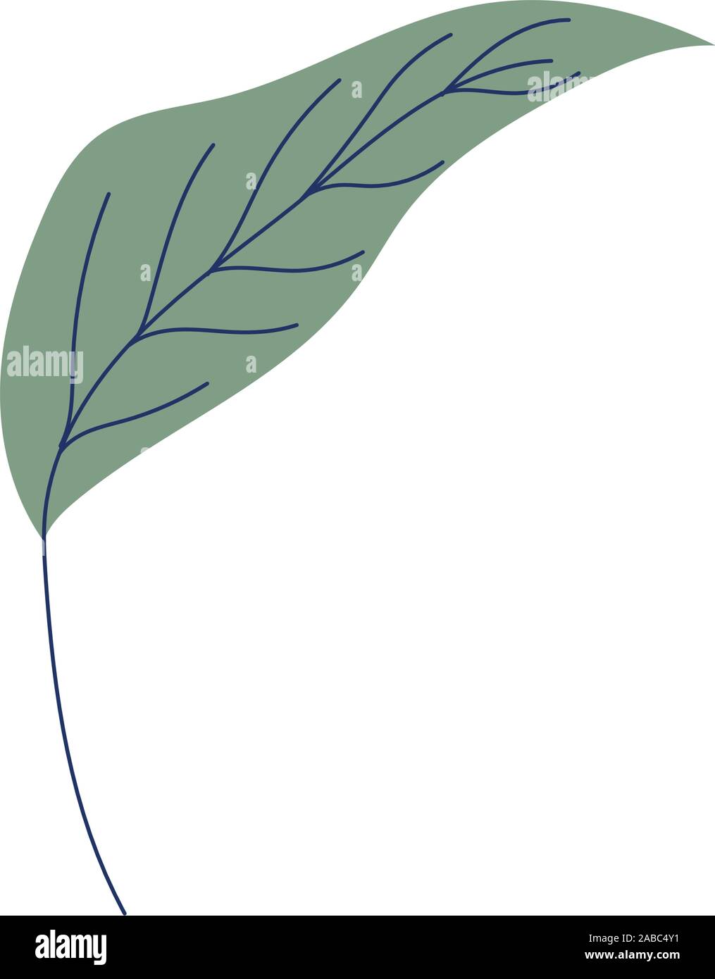 leaf drawing design, Plant floral garden nature decoration ornament and ...