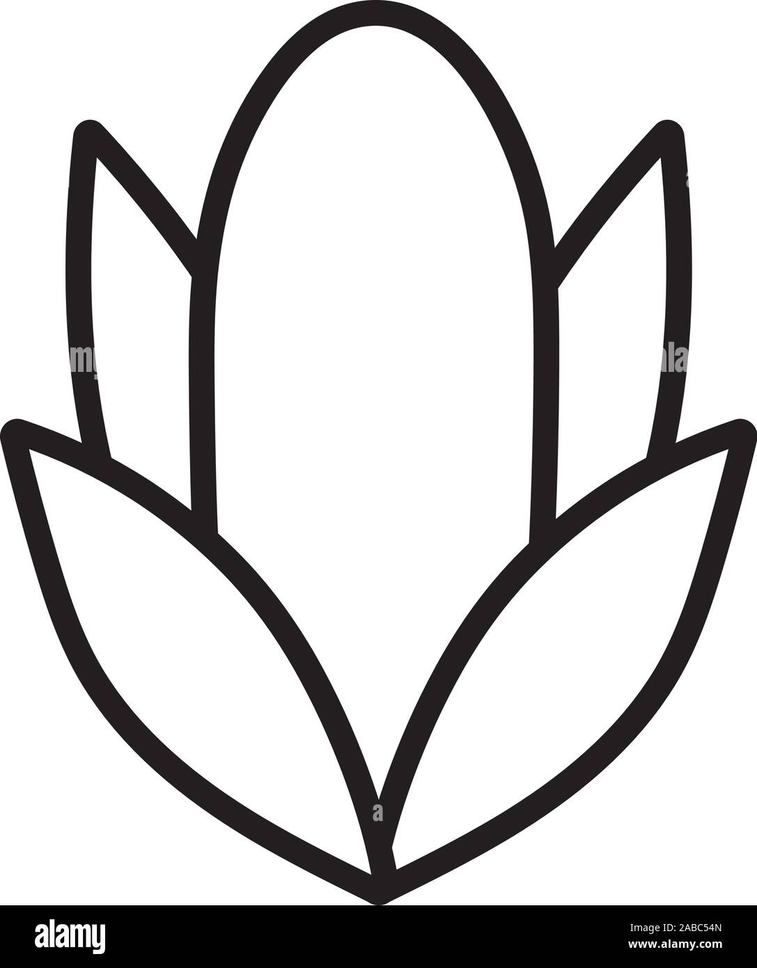 Corn design, Food vegetable agriculture green plant maize cob and ...