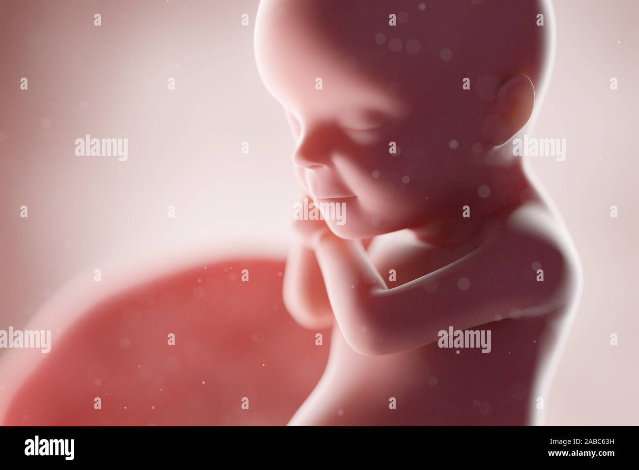 3d rendered medically accurate illustration of a human fetus - week 30 ...