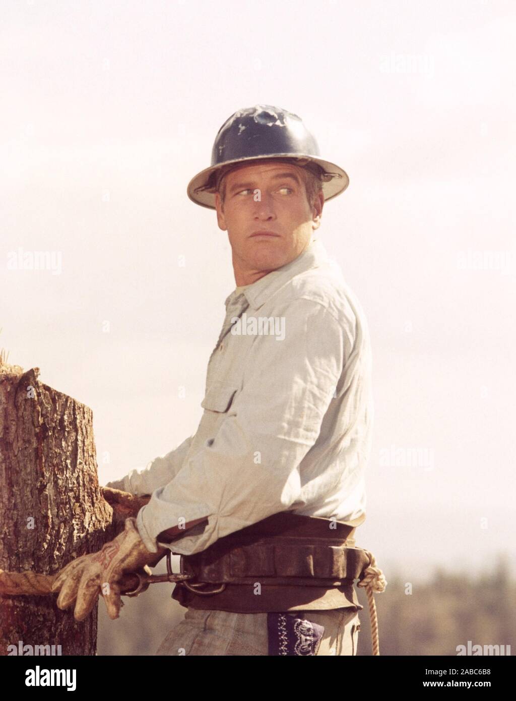 SOMETIMES A GREAT NOTION, Paul Newman, 1971 Stock Photo - Alamy
