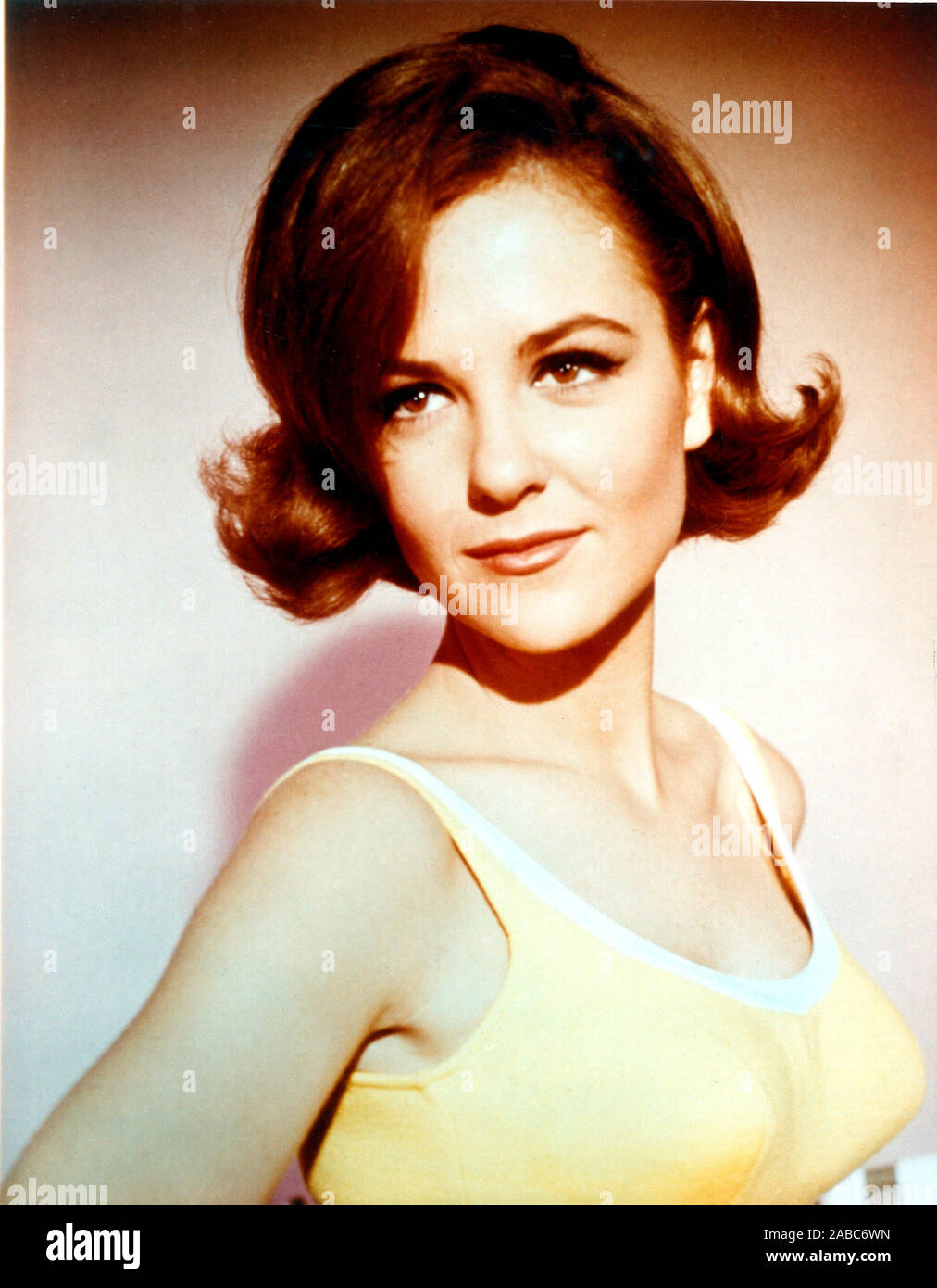GIRL HAPPY, Shelley Fabares, 1965 Stock Photo - Alamy