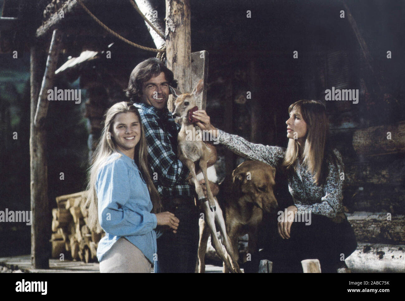 ADVENTURES OF THE WILDERNESS FAMILY 3, (aka MOUNTAIN FAMILY ROBINSON ...